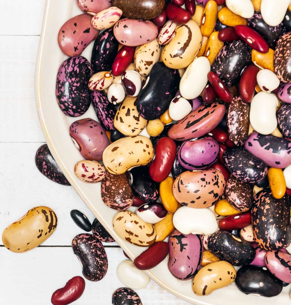 Food plate - a balanced diet plan | Love Veg